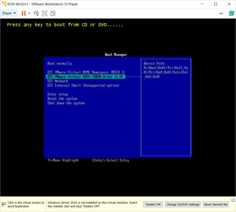 press any key to to boot from cd or dvd – Expert Network Consultant